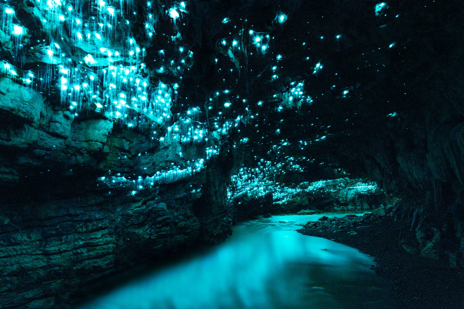 Gallery of Waitomo Caves, New Zealand images by photographer Corin ...