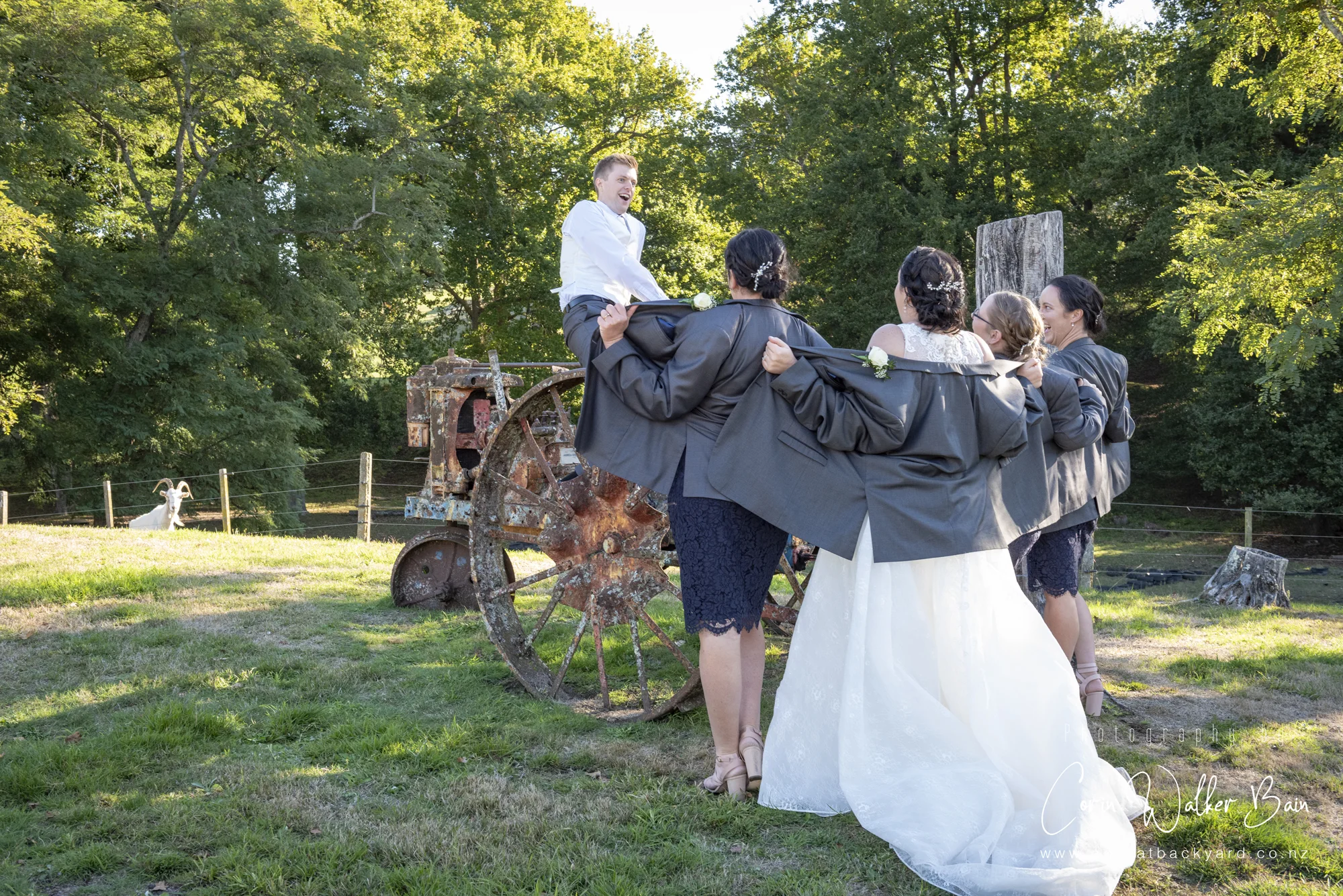 Anna and David's Tamahere Wedding by Corin Walker Bain — a great backyard