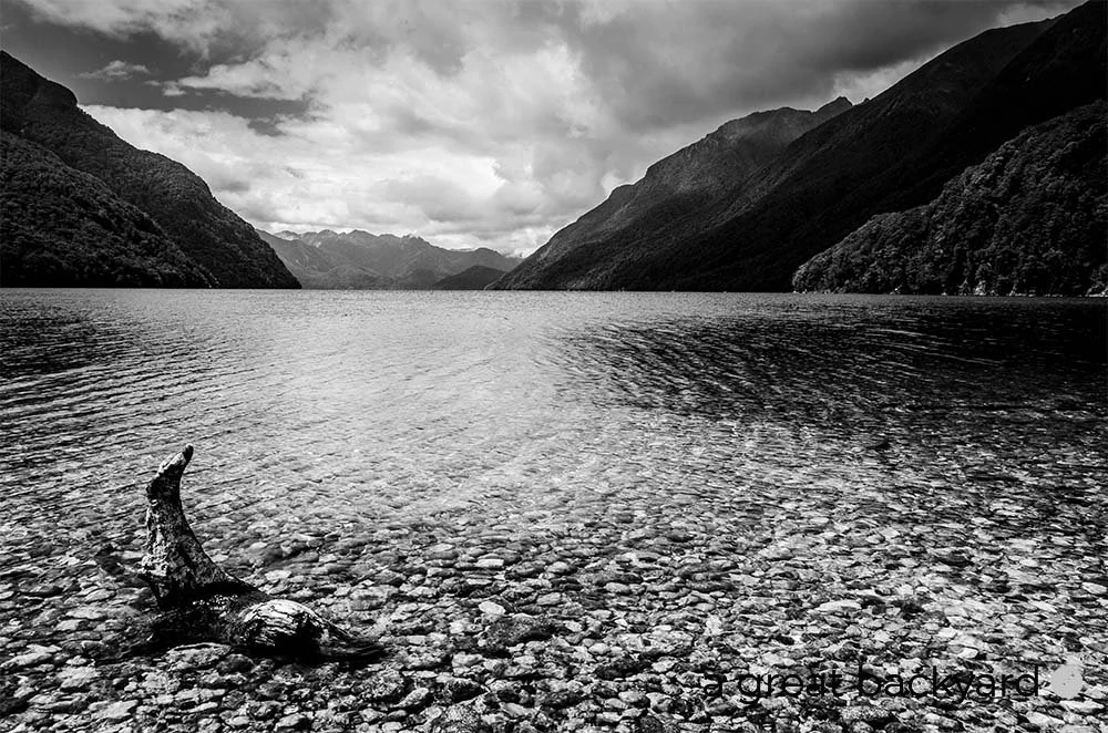 Lake Manapouri View by Corin Walker Bain | Fine Art Acrylic & ACM ...