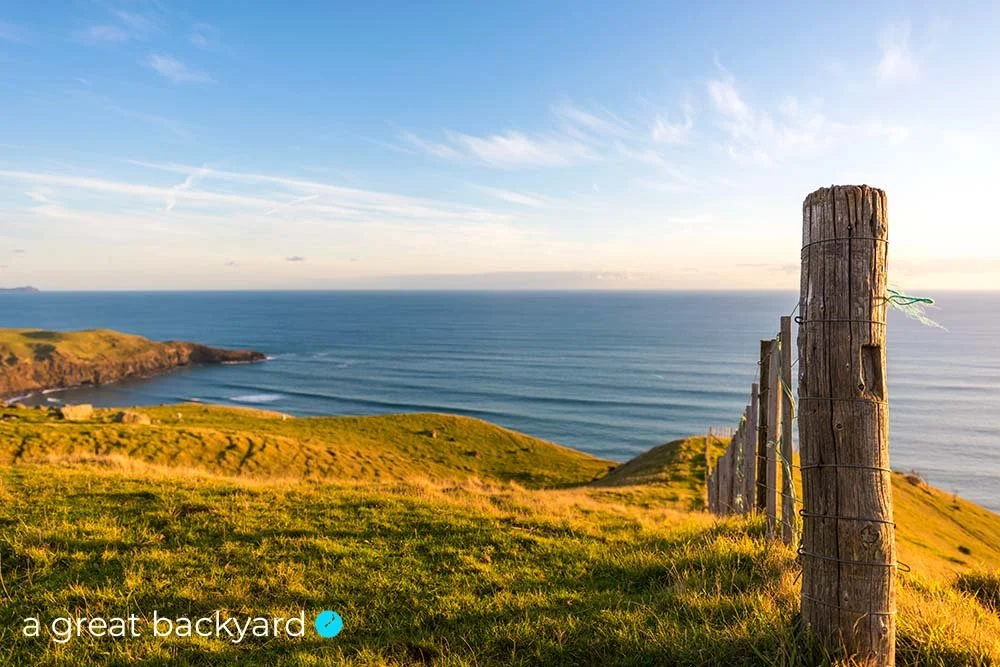 Raglan Coast Fence Line by Corin Walker Bain | Acrylic & ACM prints — a ...