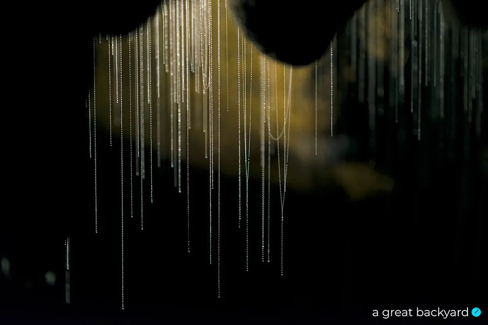 Glowworm Threads by Corin Walker Bain | a great backyard printing ...