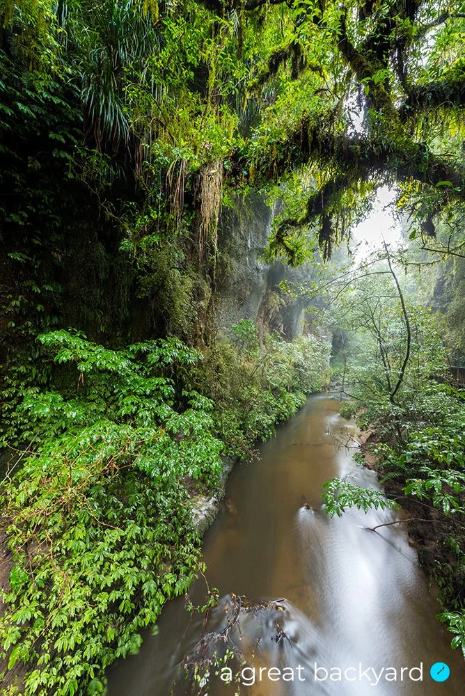 Mangapohue River by Corin Walker Bain | a great backyard print ...