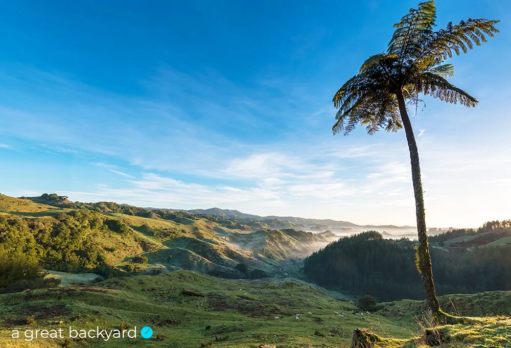 Waitomo Valley View by Corin Walker Bain | a great backyard print ...