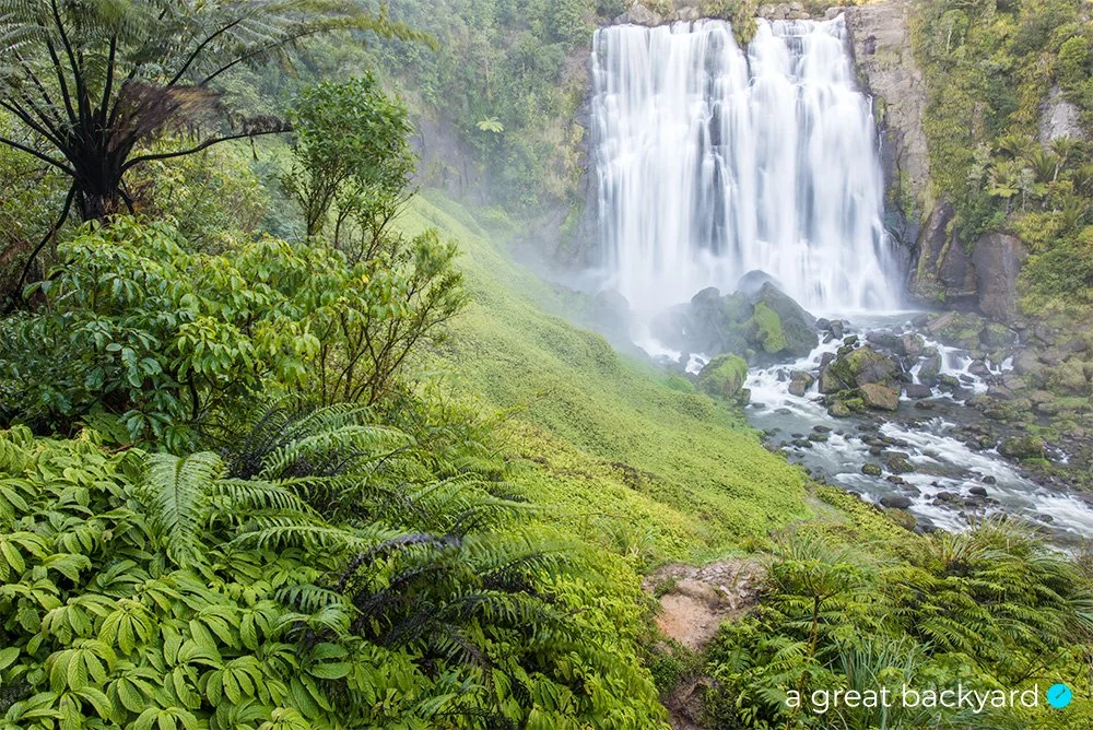 Marokopa Falls by Corin Walker Bain | a great backyard print ...