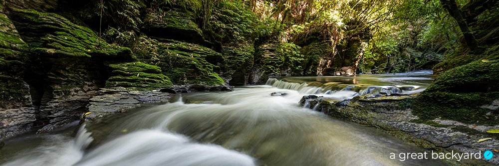 Ruakuri River Panorama by Corin Walker Bain | a great backyard print ...