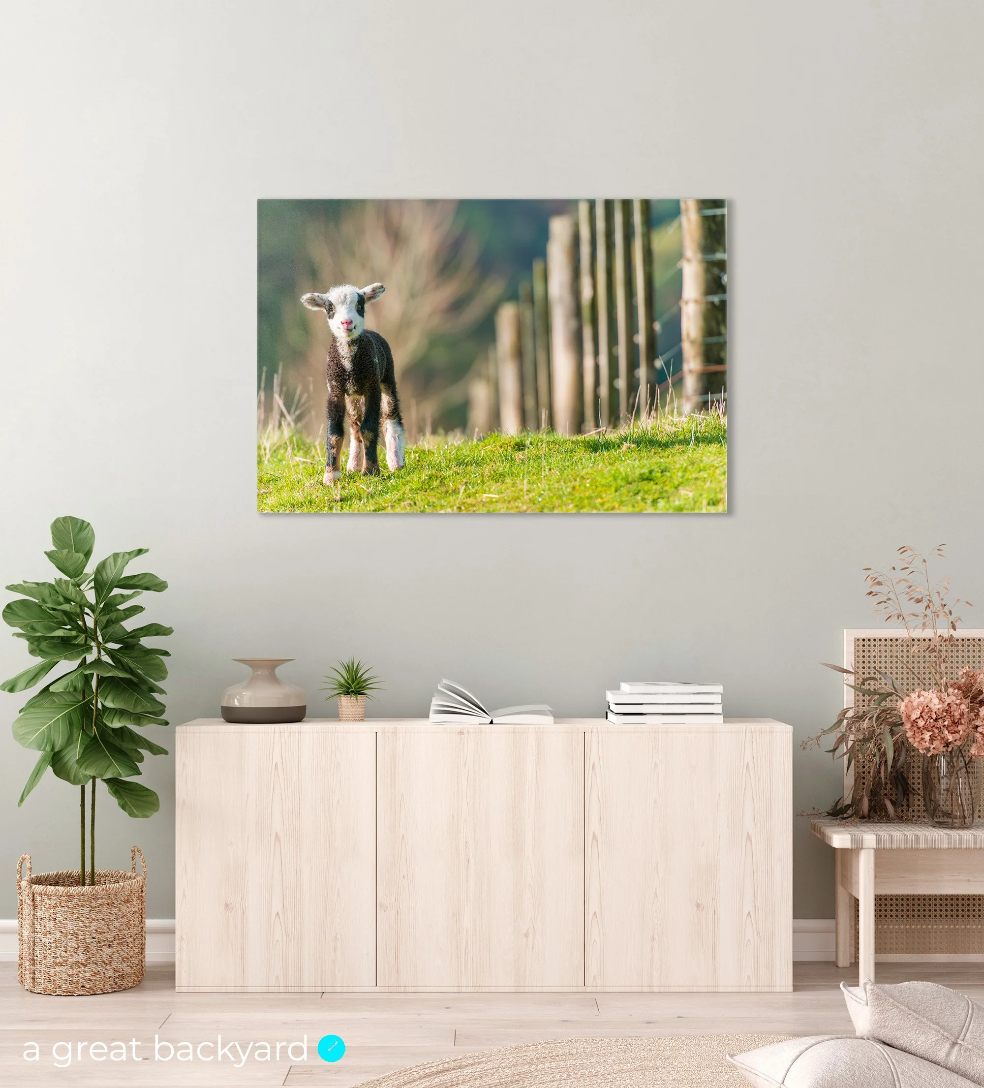 Spring Lamb by Corin Walker Bain | a great backyard print & photography ...
