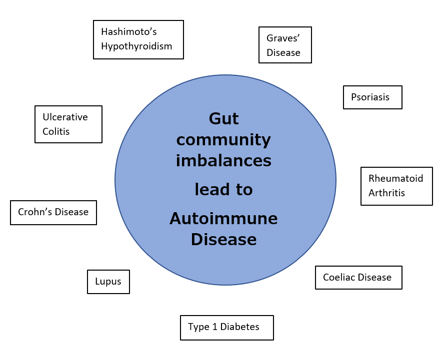 The Gut-Immune System Connection — Tingle & Glow