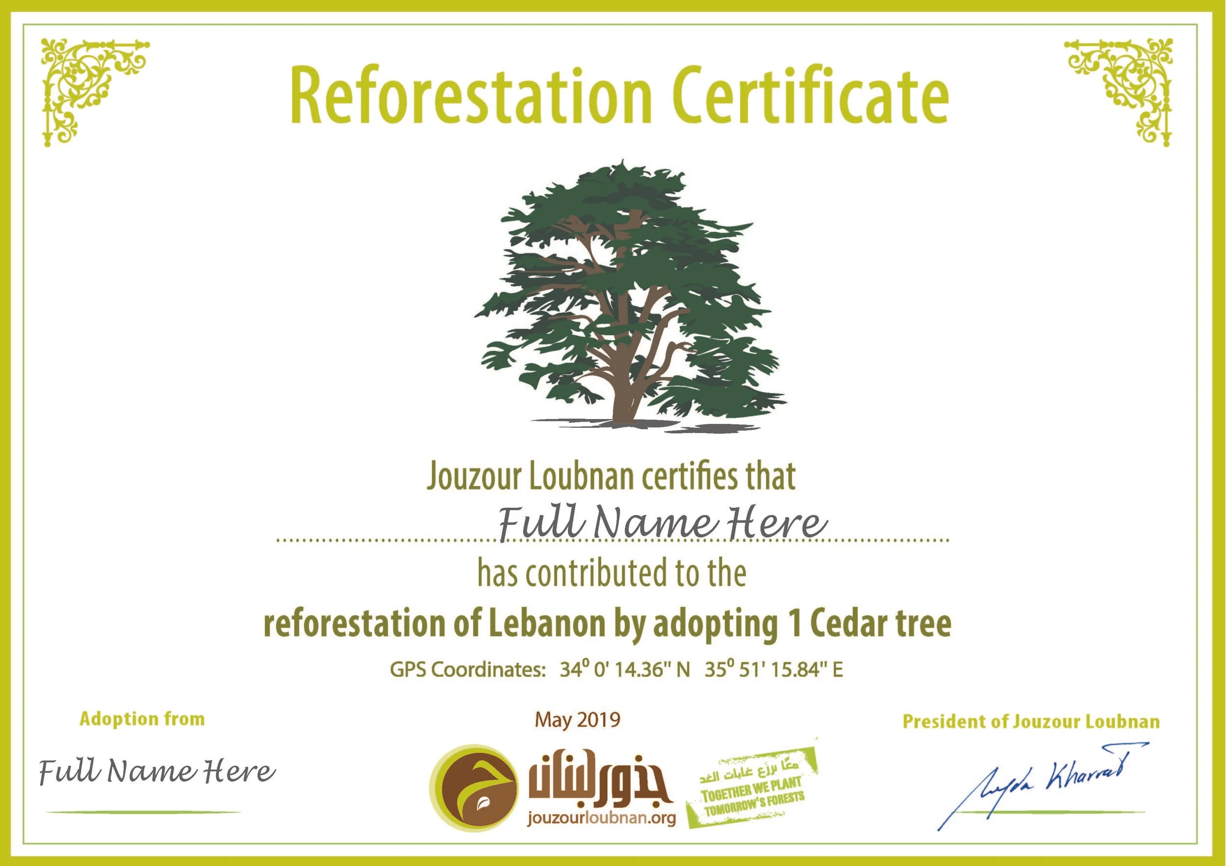 Adopt A cedar Lebanon, Reforestation Lebanon, Lebanon forests, Green ...