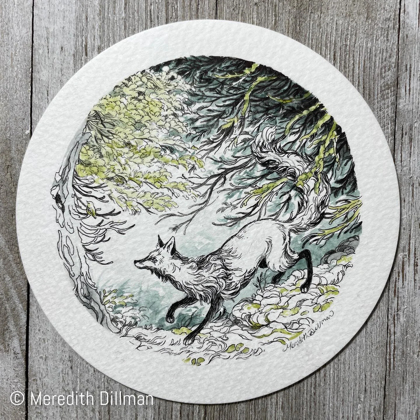 Woodland Fancies: The Art of Meredith Dillman