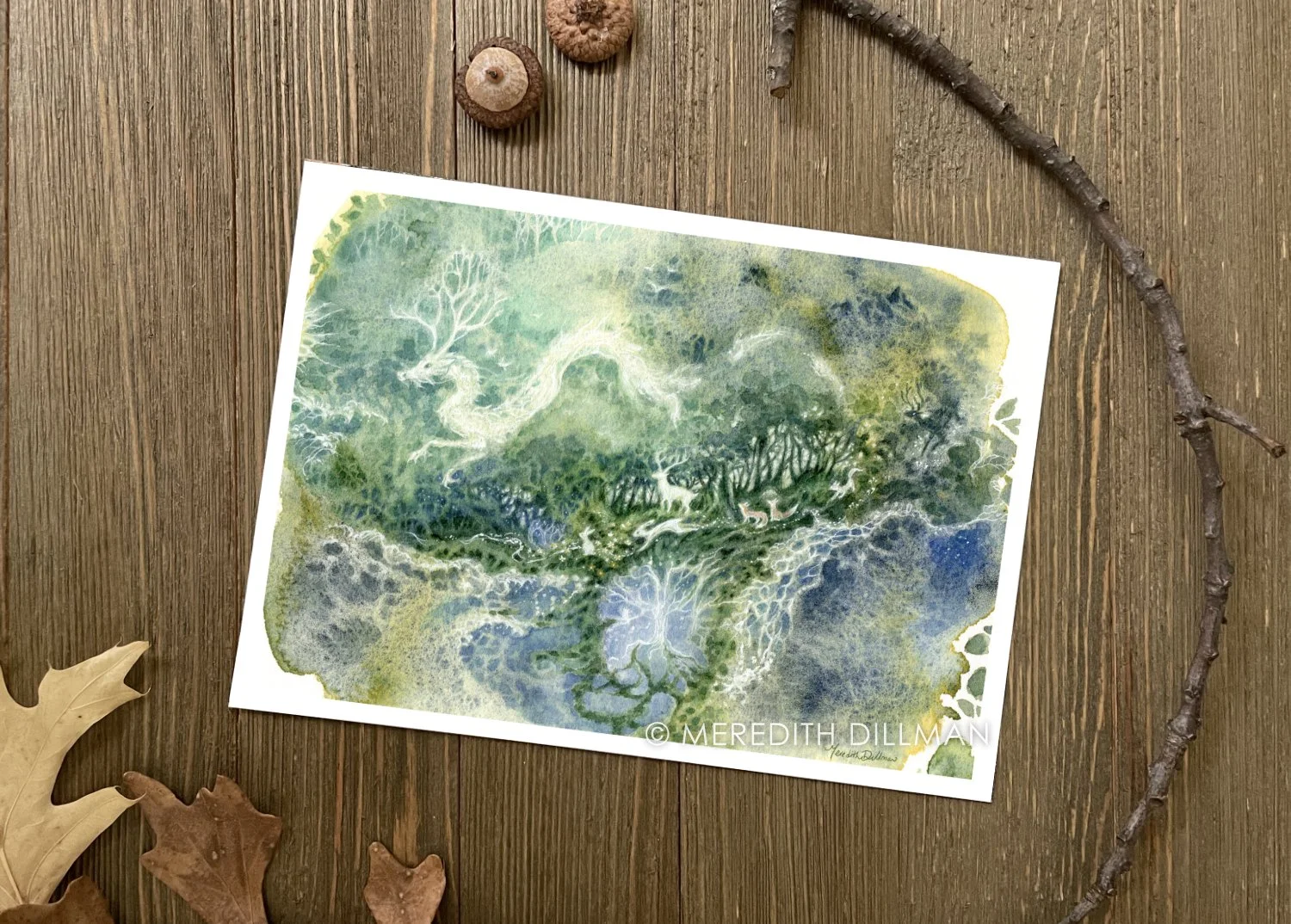 Woodland Fancies: The Art of Meredith Dillman