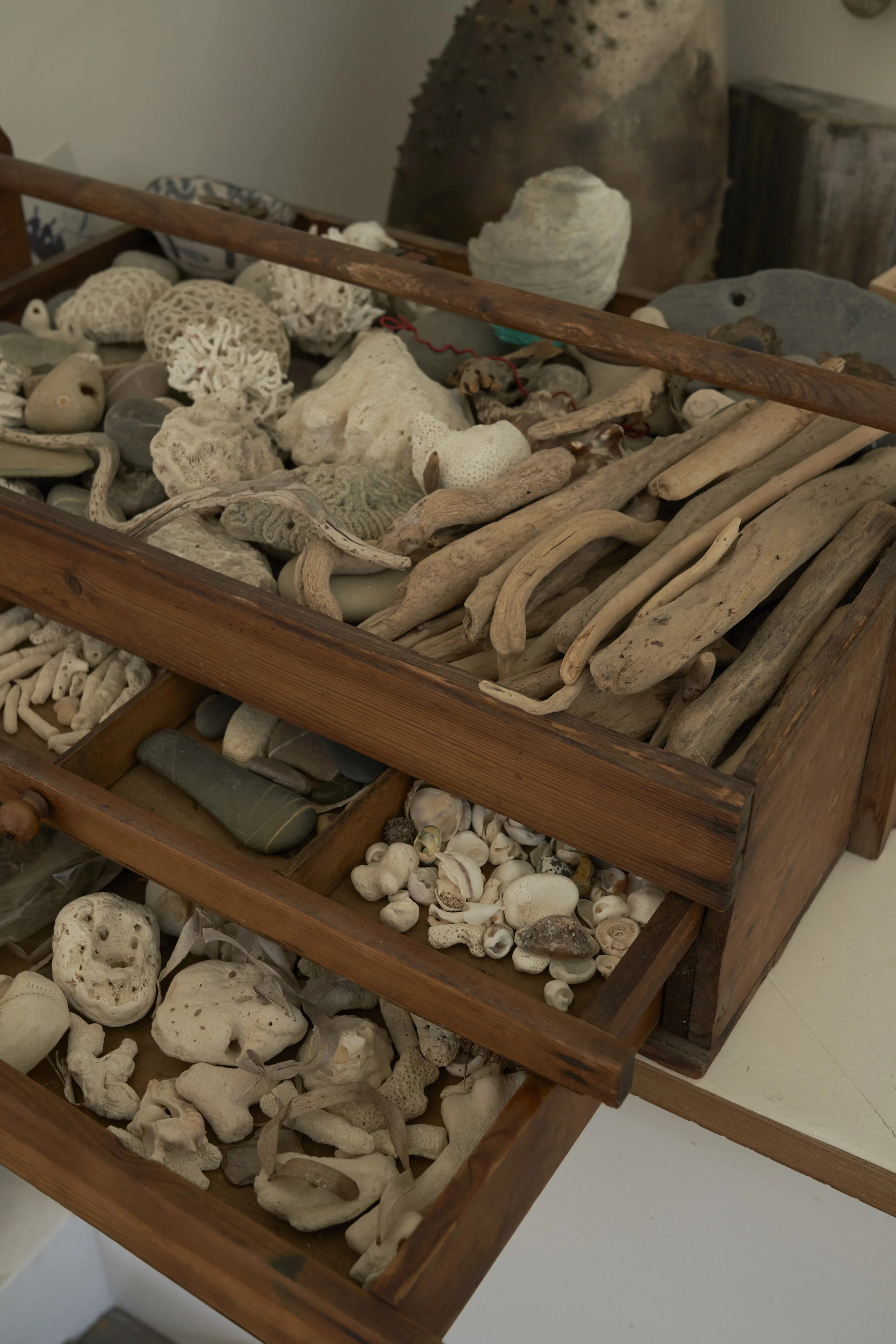 About — Alice Corbett