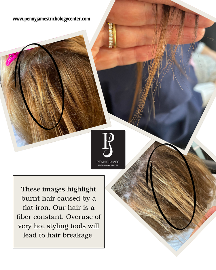 How Heat Styling Damages Your Hair & How to Repair It | Penny James ...