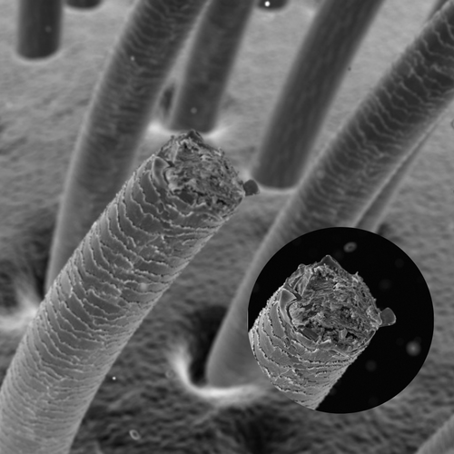 How Heat Styling Damages Your Hair & How to Repair It | Penny James ...