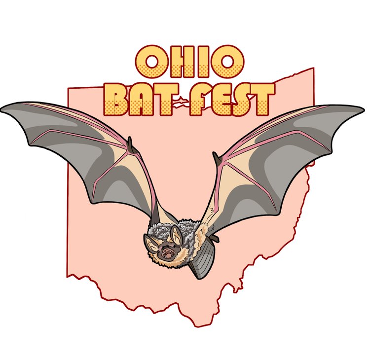 Ohio Bat Fest — The Ohio Bat Lab