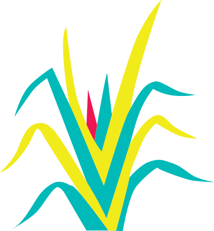 Race Unity Speech Awards