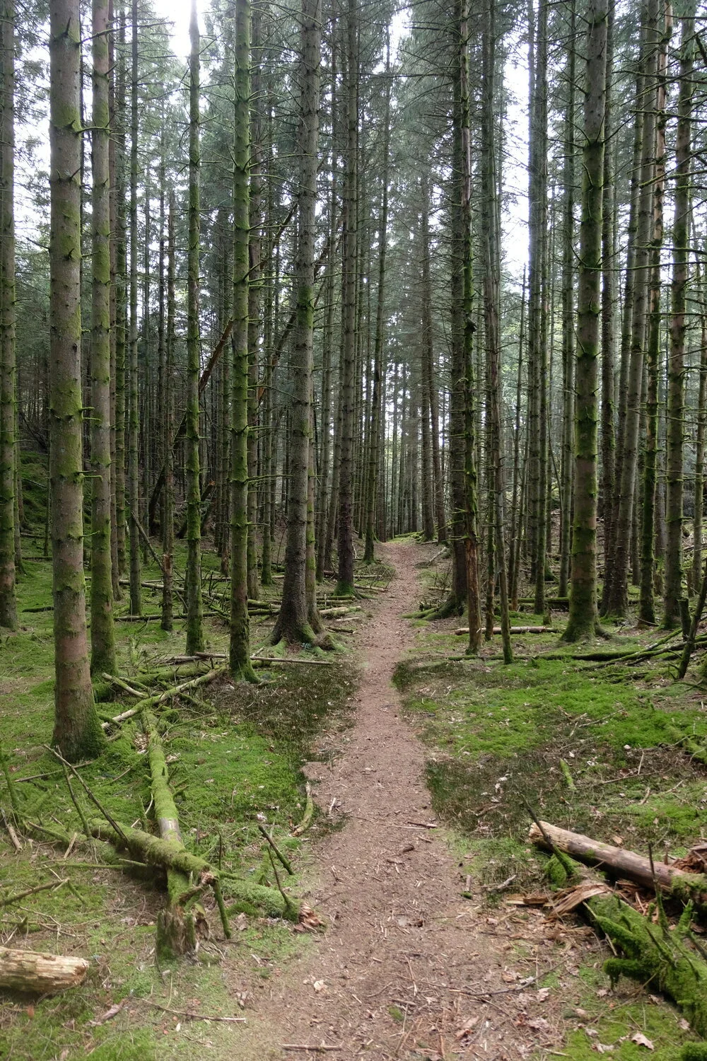 Hiking trips close to Logbua, Åna-Sira, Norway. Fotturer i nærheten av ...