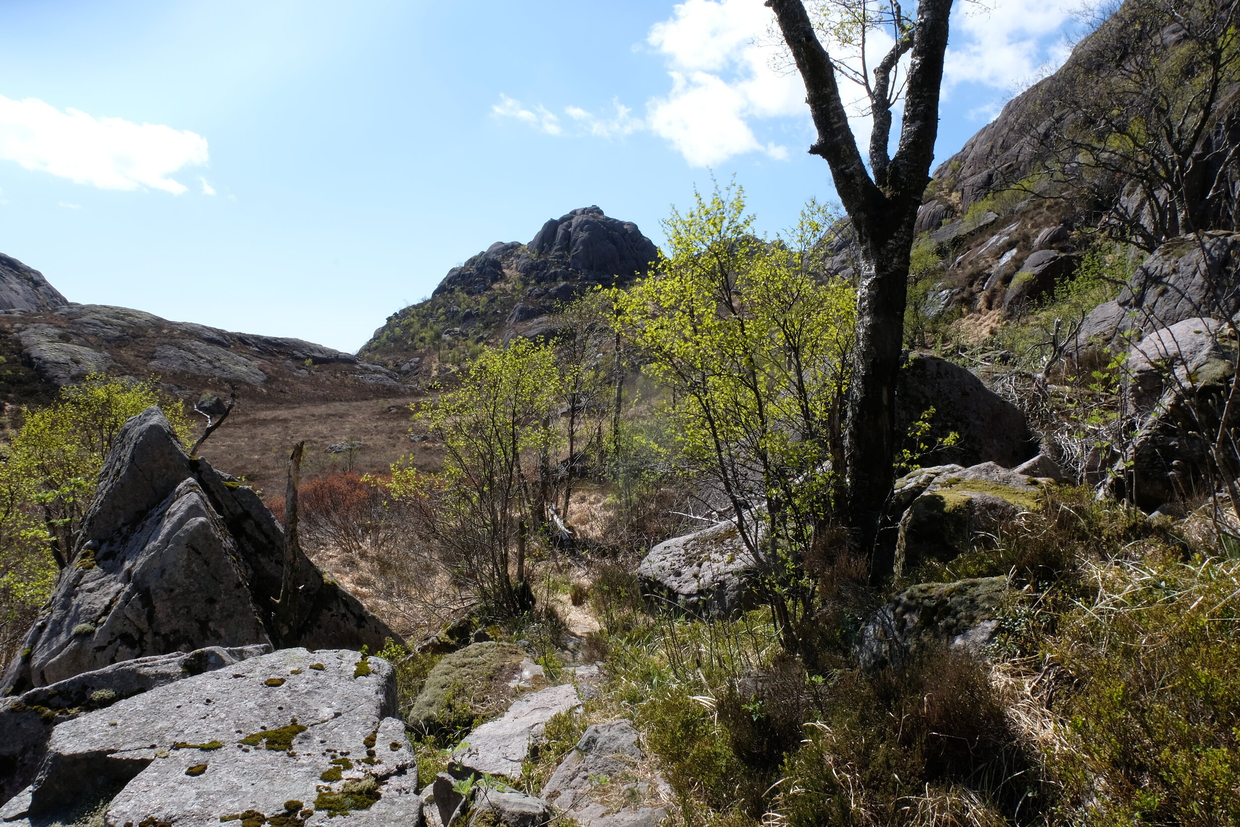 Hiking trials close to Logbua, Åna-Sira, Norway. Fotturer i nærheten av ...