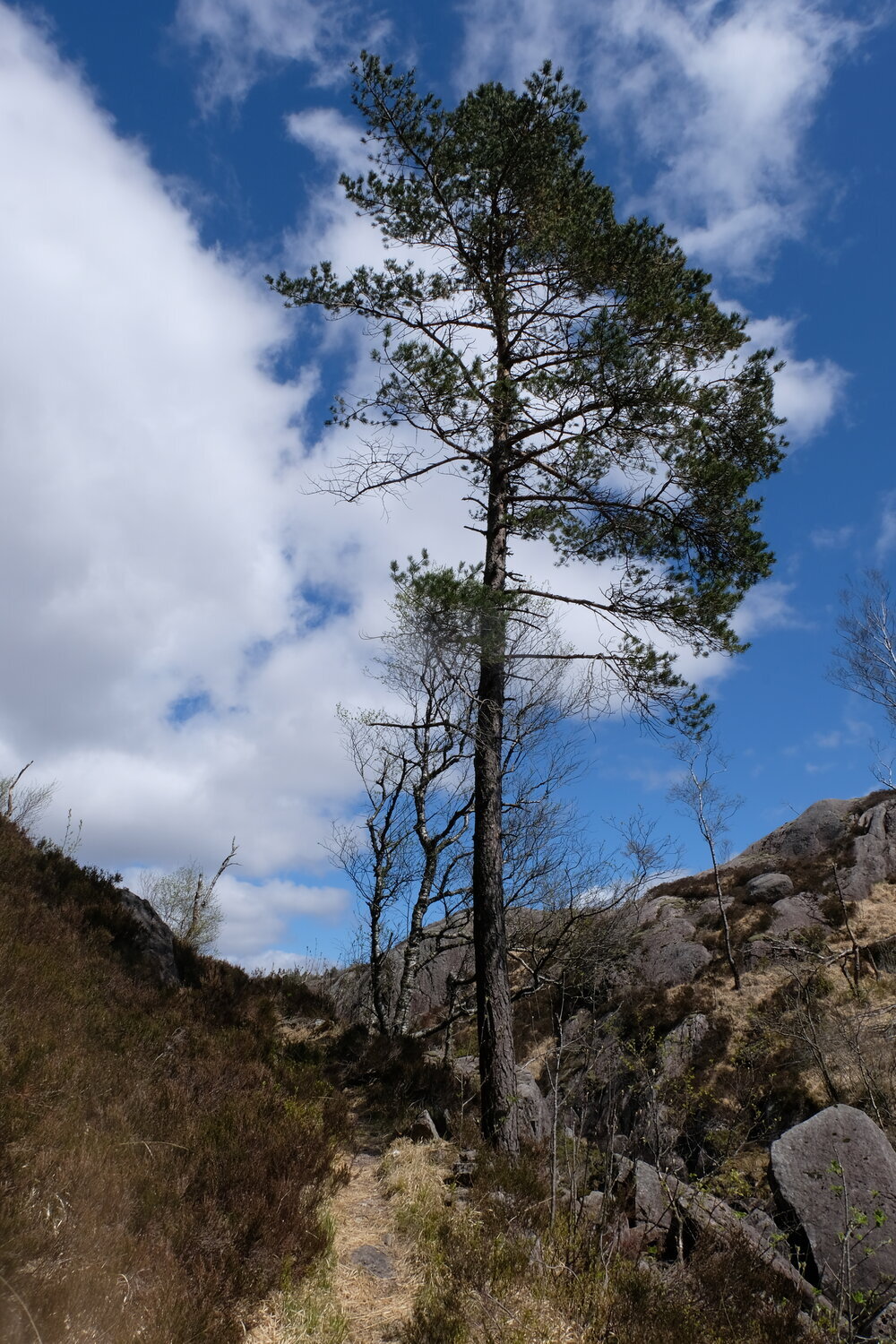 Hiking trials close to Logbua, Åna-Sira, Norway. Fotturer i nærheten av ...