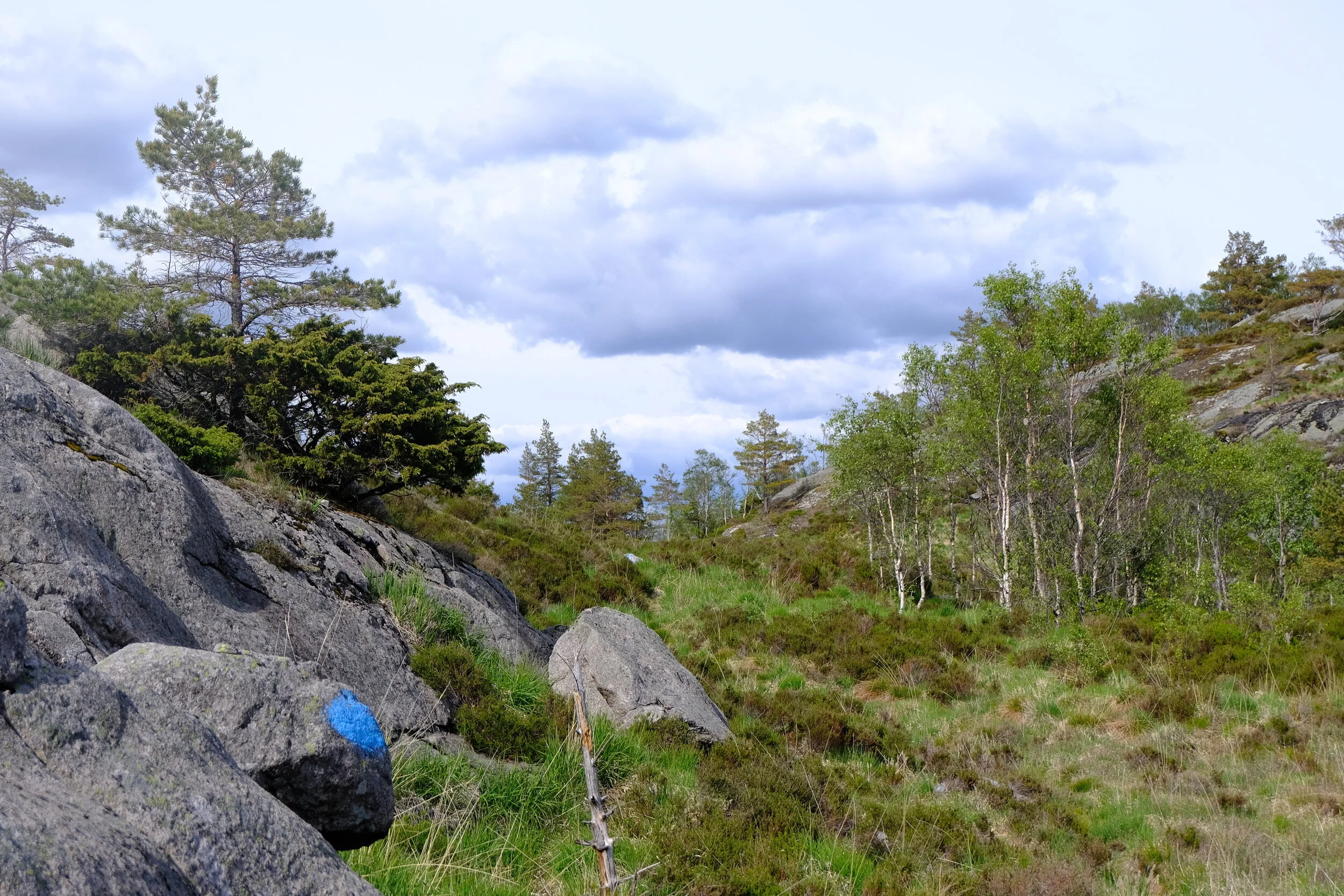 Hiking trials close to Logbua, Åna-Sira, Norway. Fotturer i nærheten av ...