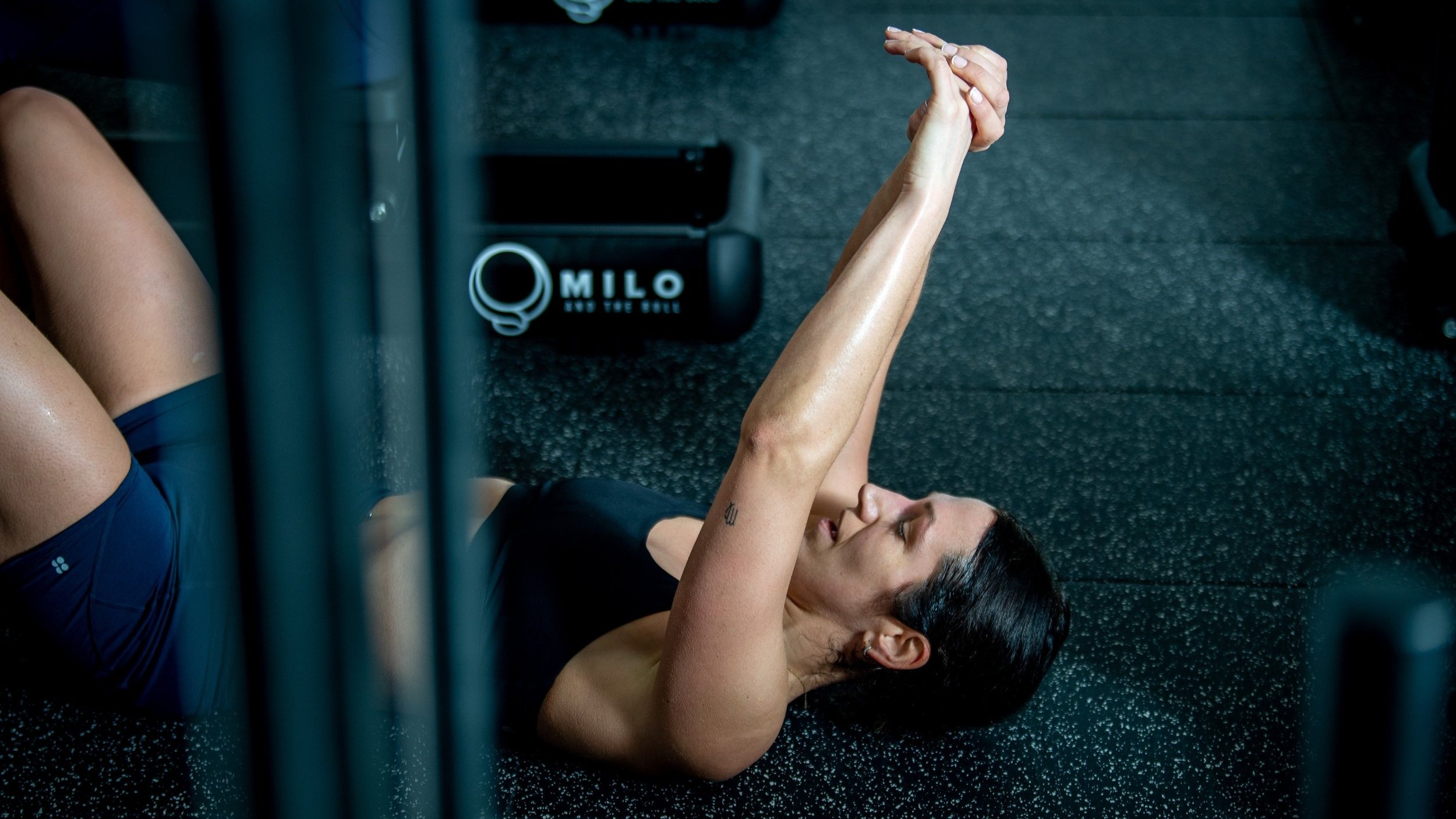 In studio training — Milo and the Bull