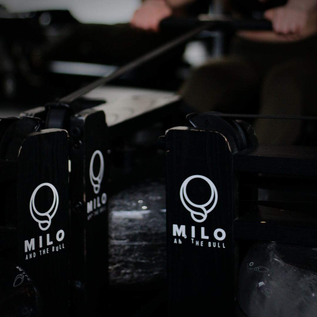 Rowing — Milo and the Bull