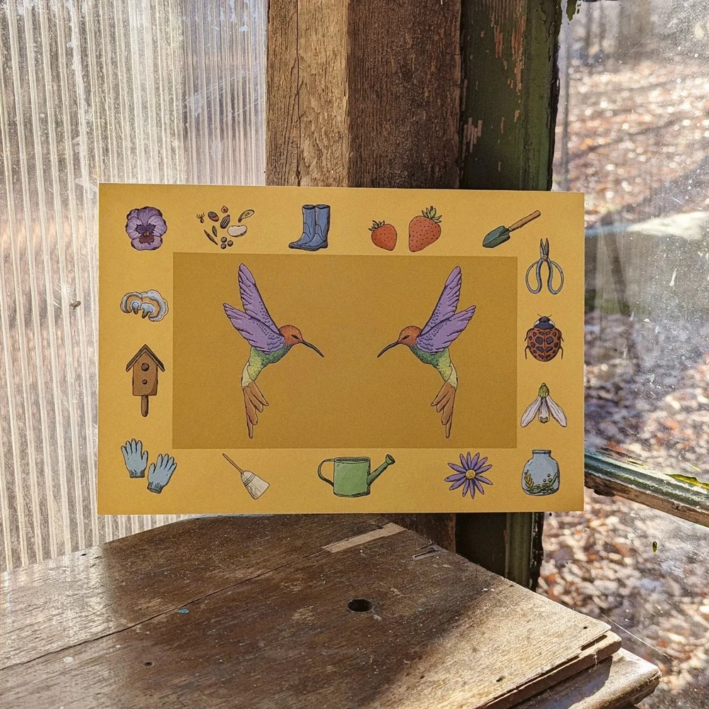 Monarch Butterfly Phases -Print — Caro Arevalo Art