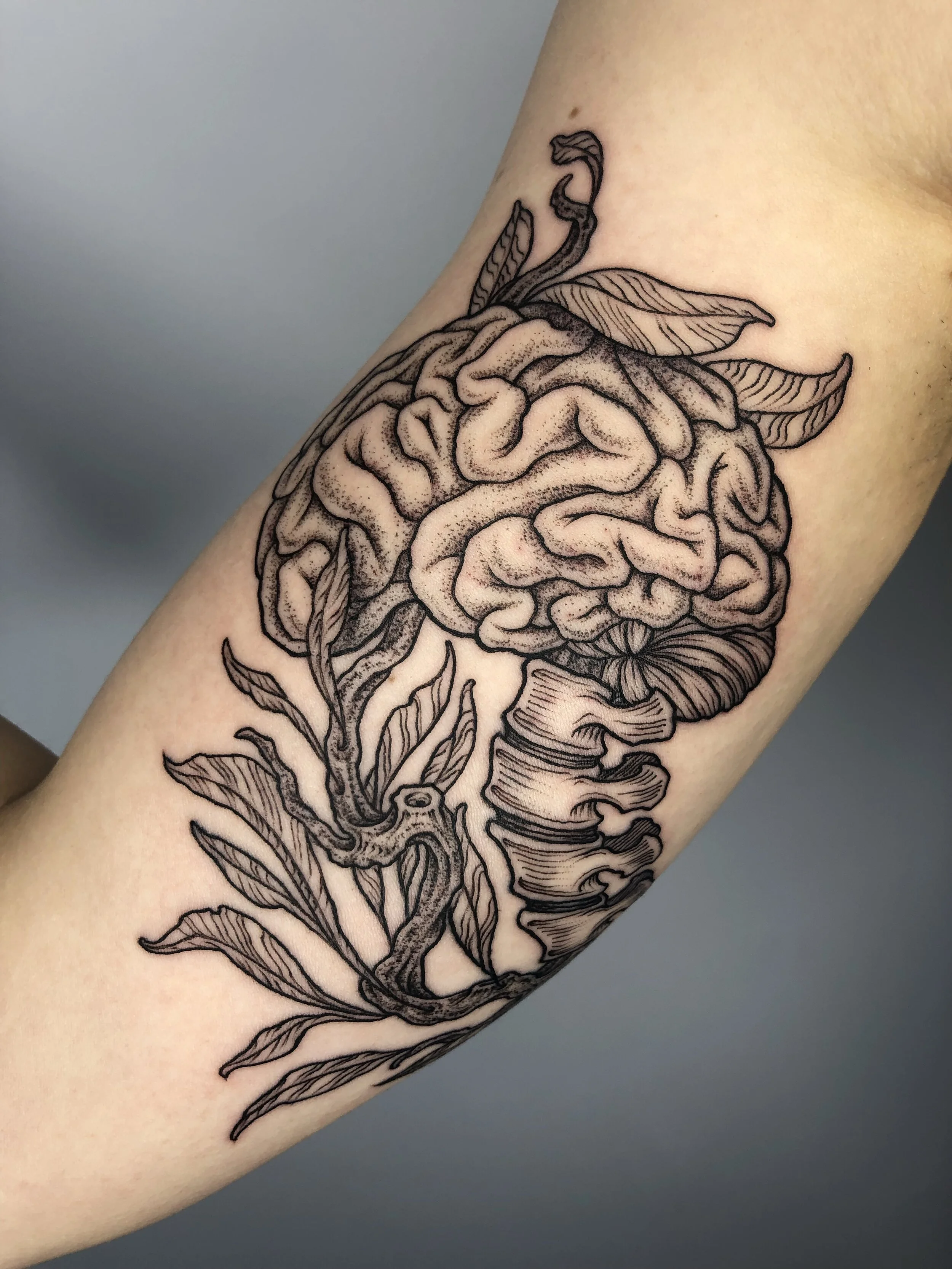 Anatomical Brain Tattoo
