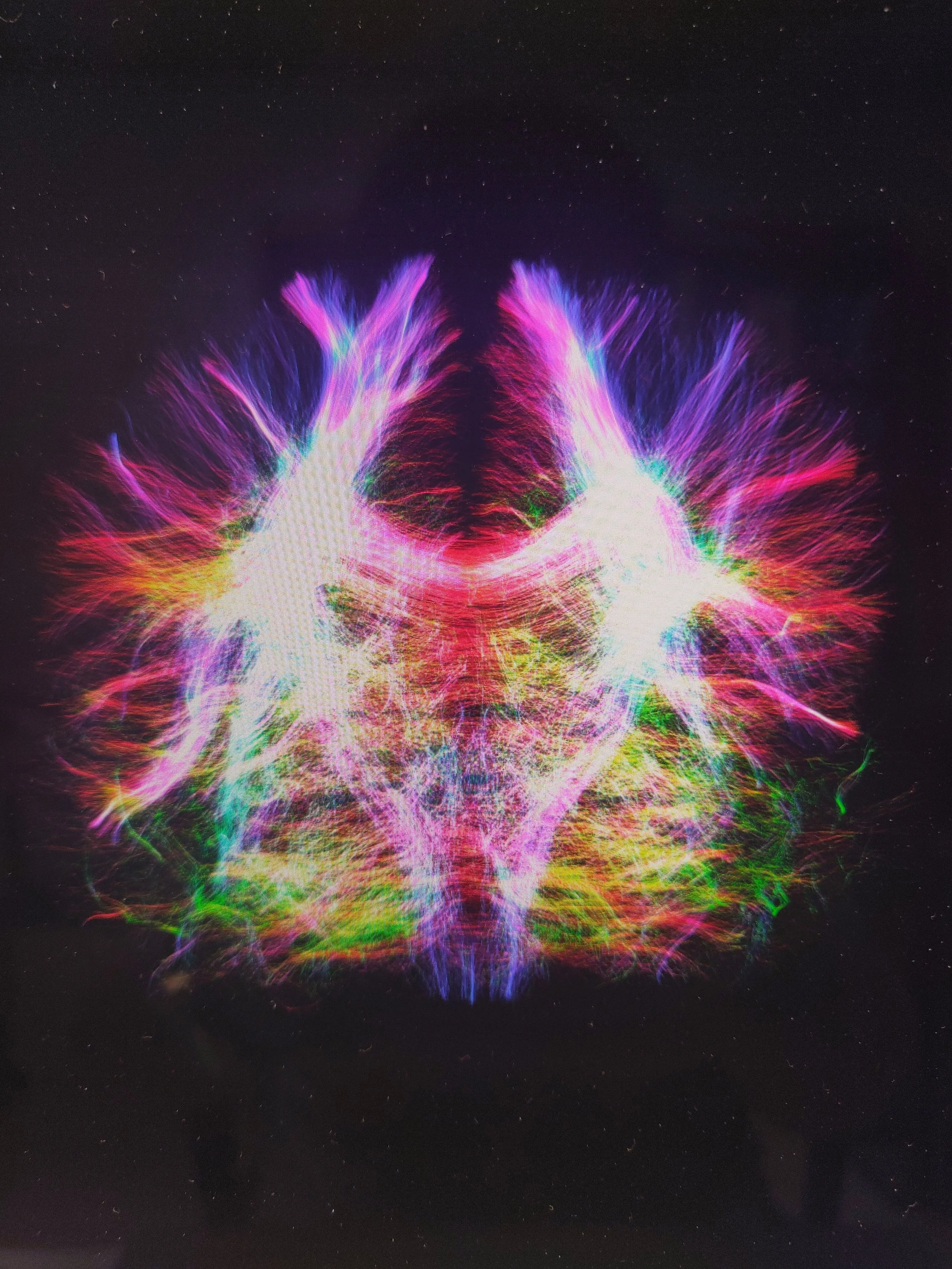 Research — NEURAL Research Lab