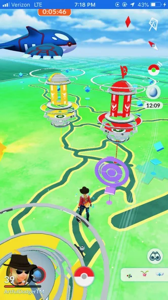 Pokémon in the Preserve — Dani Dodge