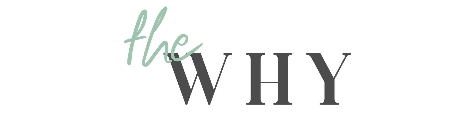 Spring Semester — Steele Creek Church