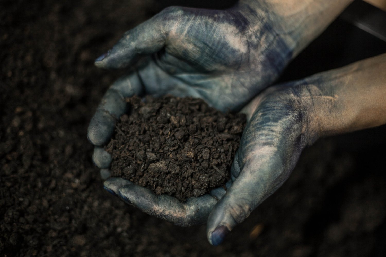 The Art of Natural Indigo Dye — Plural