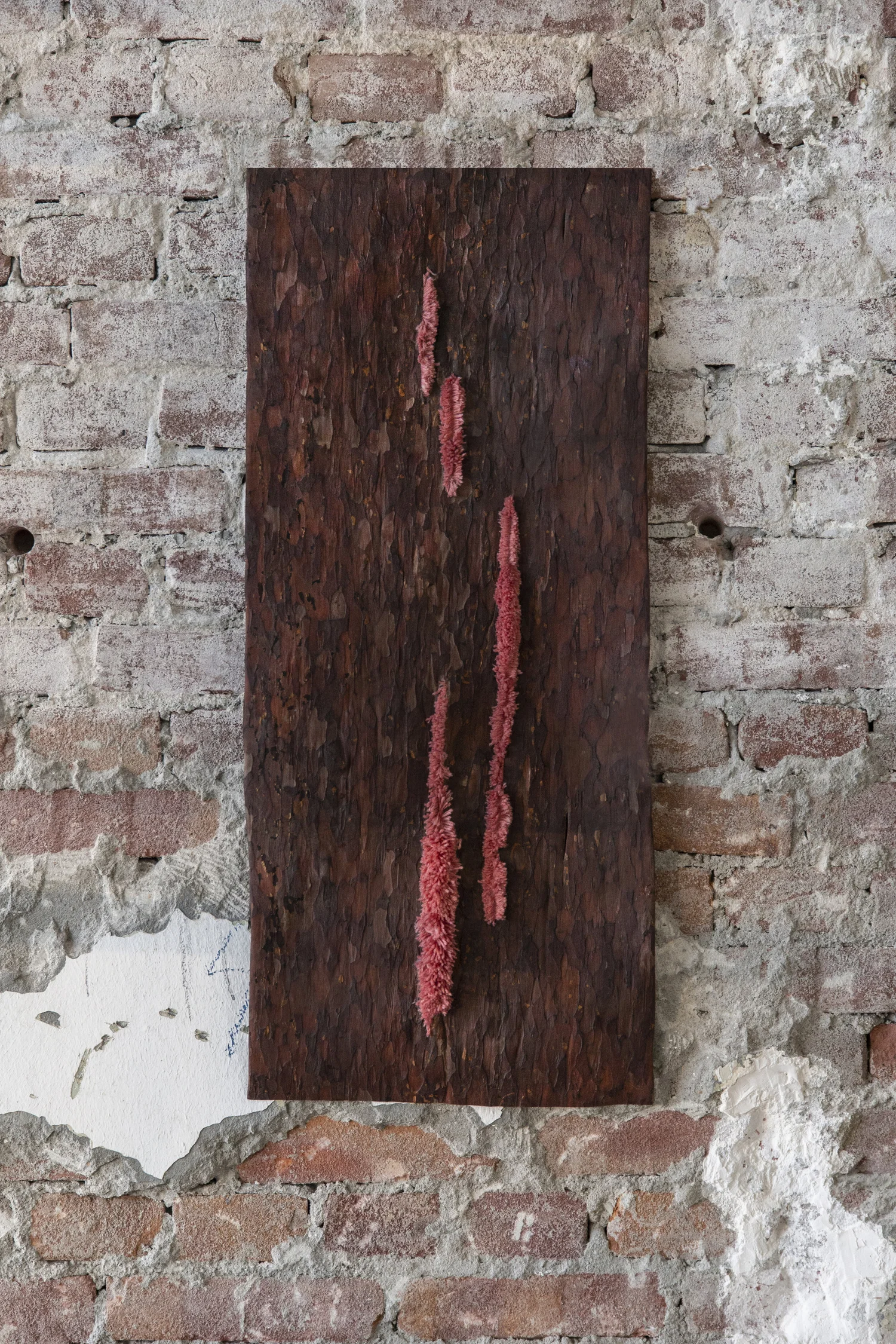 Sarmite Polakova and PineSkins — Plural