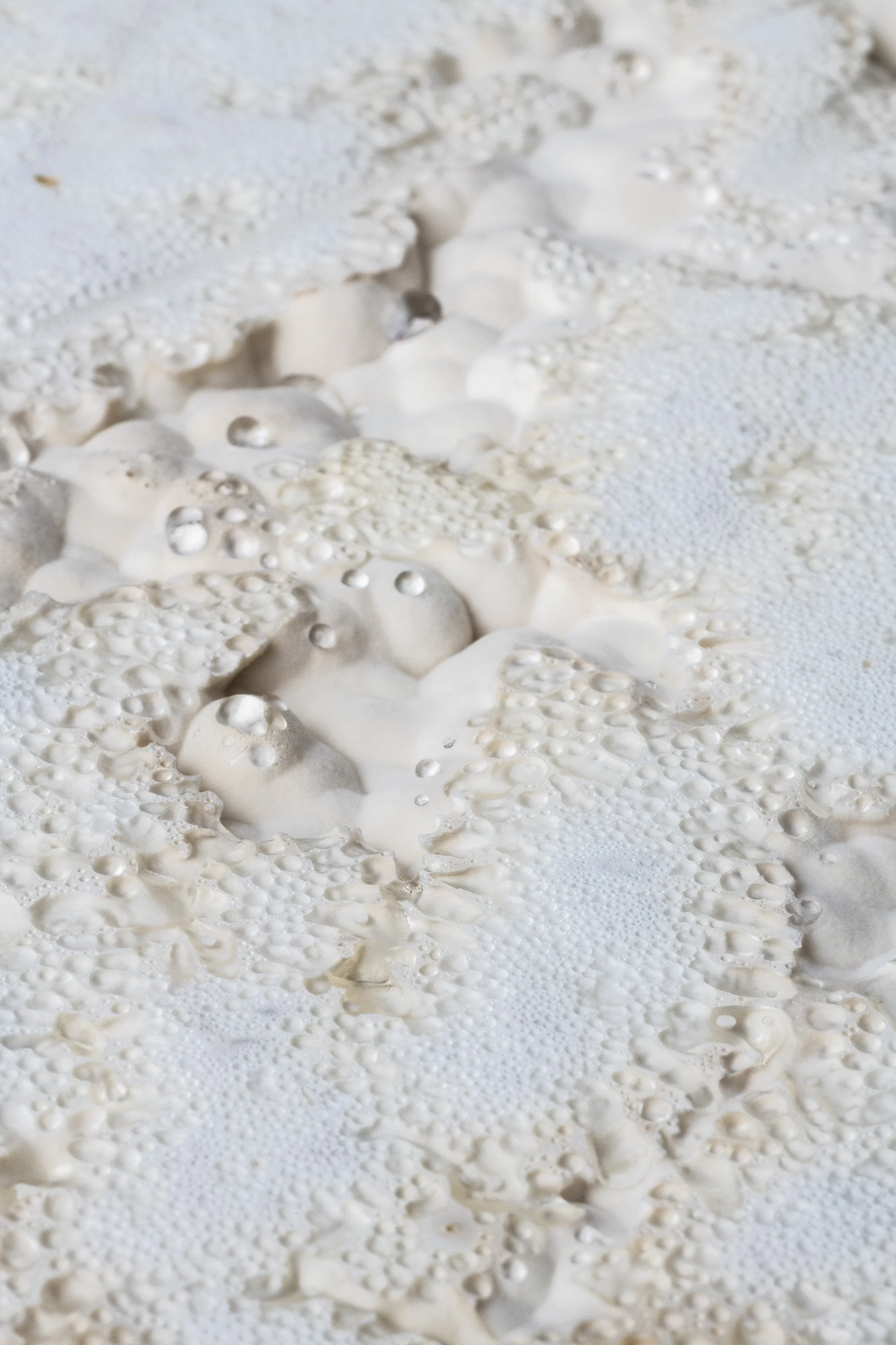 Mycelium: Rethinking Materials in Design — Plural