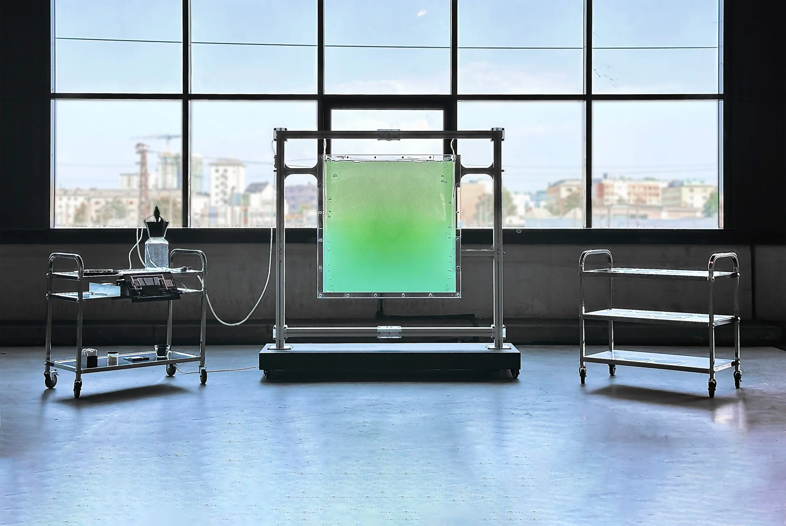 The Solar Share: Redefining the Economy Through Photosynthesis — Plural