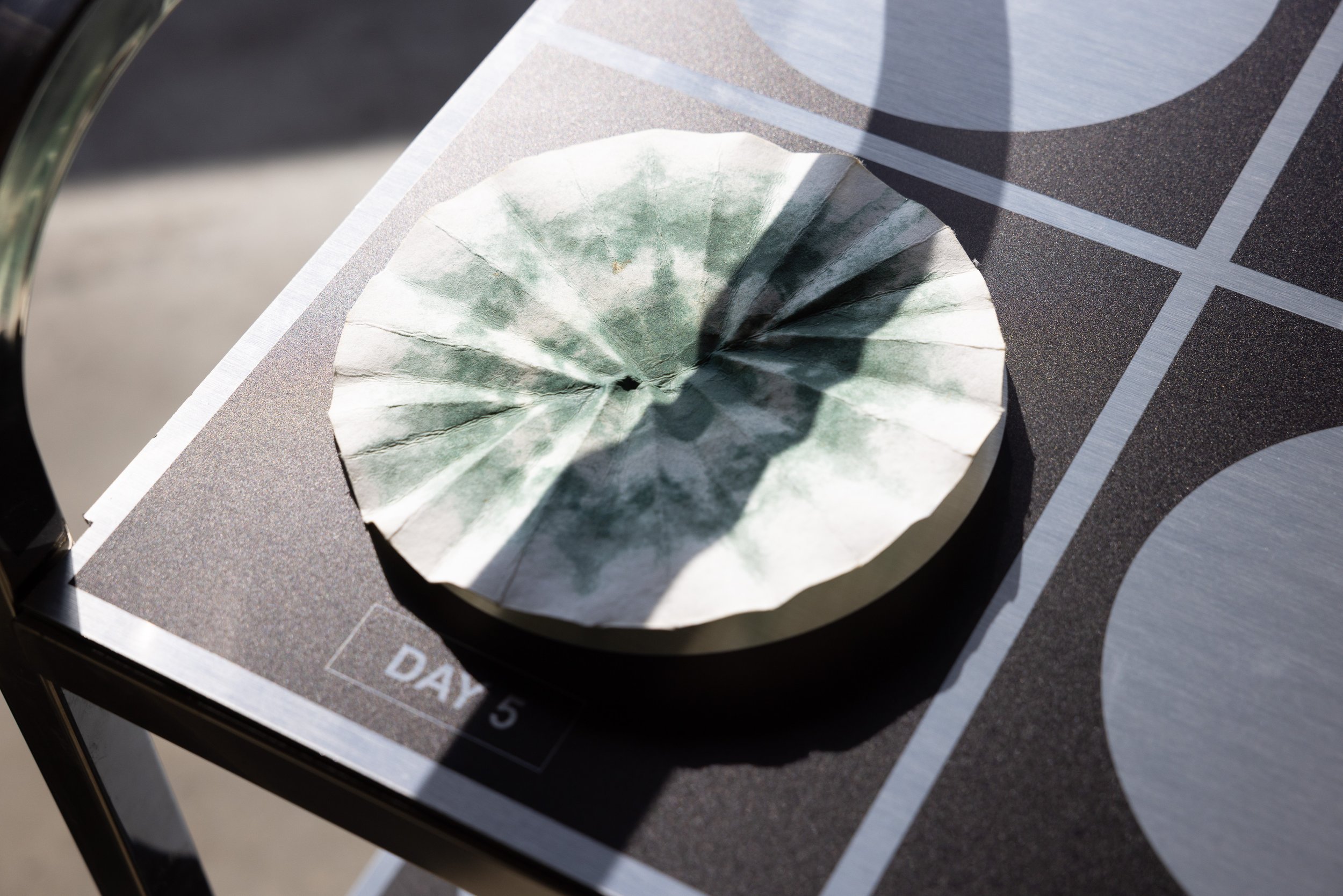 The Solar Share: Redefining the Economy Through Photosynthesis — Plural