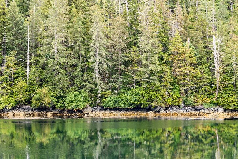 Things to Do in Sitka, Alaska: Cruise Port Excursions