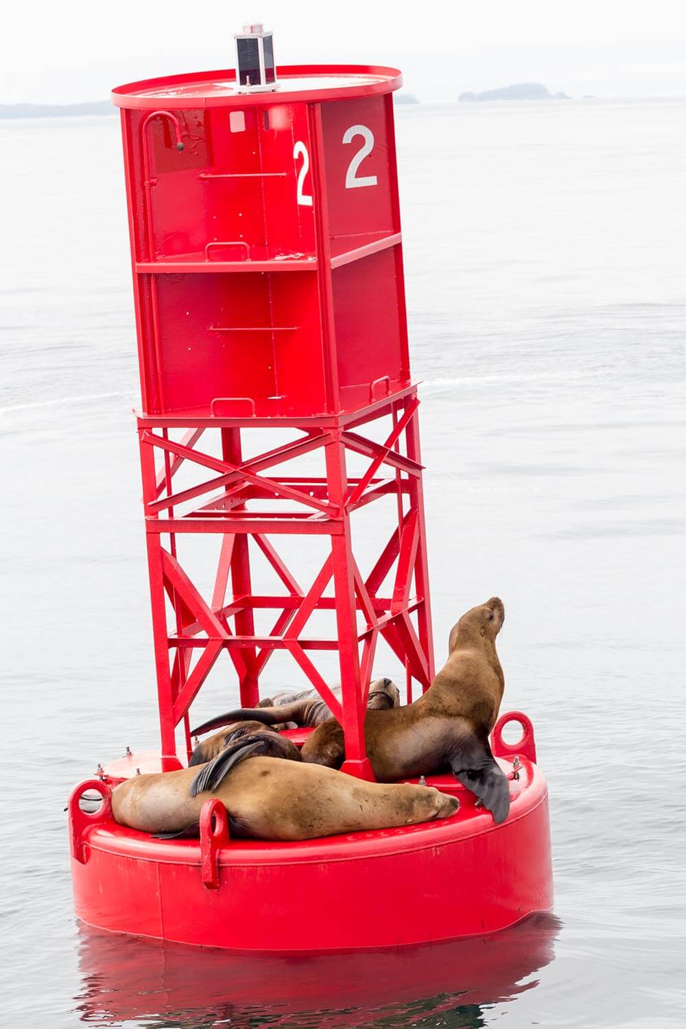 Things to Do in Sitka, Alaska: Cruise Port Excursions