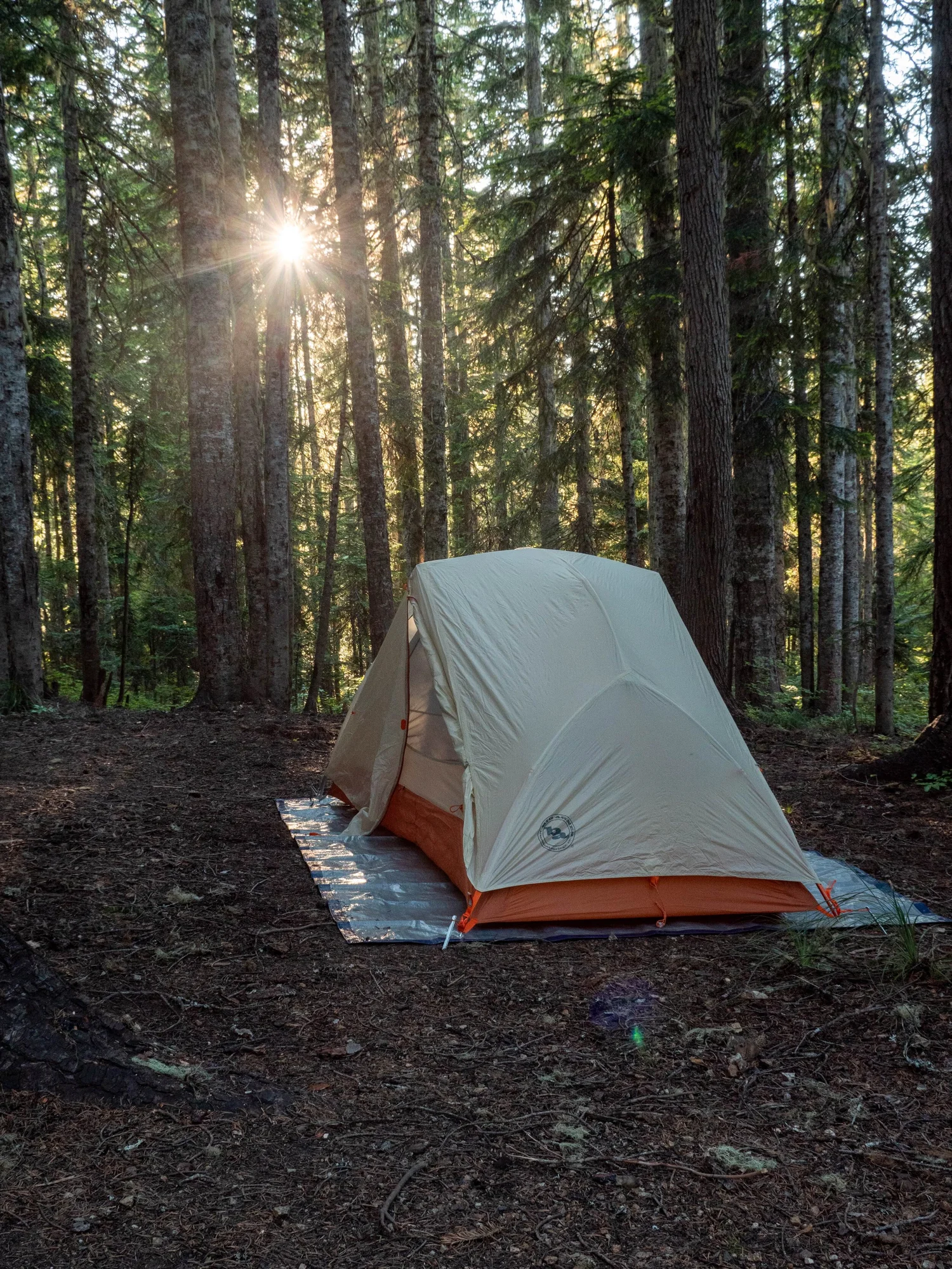 5 Easy Tips for Getting Sun Flares and Rainbows in Your Photos — Caryn ...