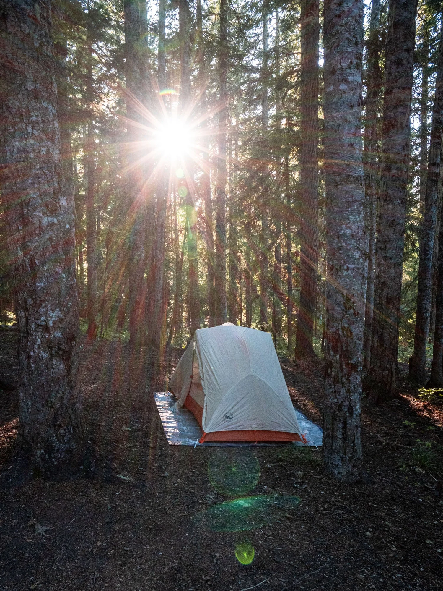 10 Pieces of Essential Camping Gear — Caryn Can Fly: Outdoor Adventures ...