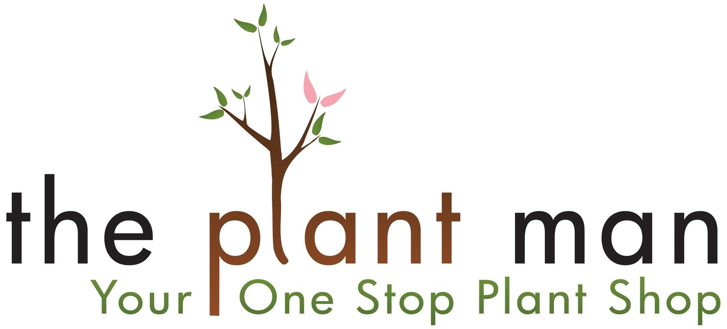 The Plant Man the-plant-man
