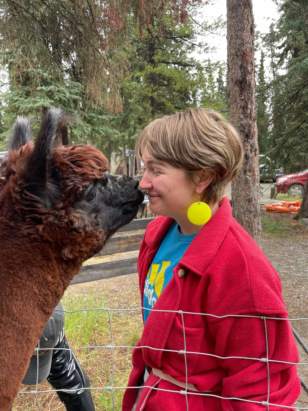 Staff — Inclusion Yukon