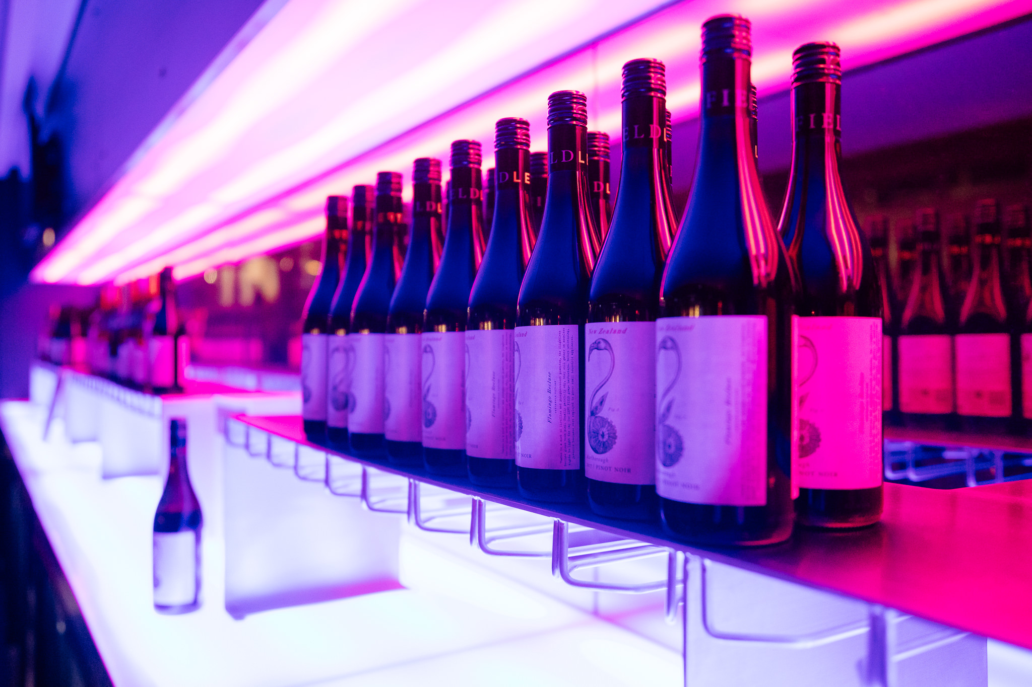 Event Photography Portfolio - Auckland Event Photographer