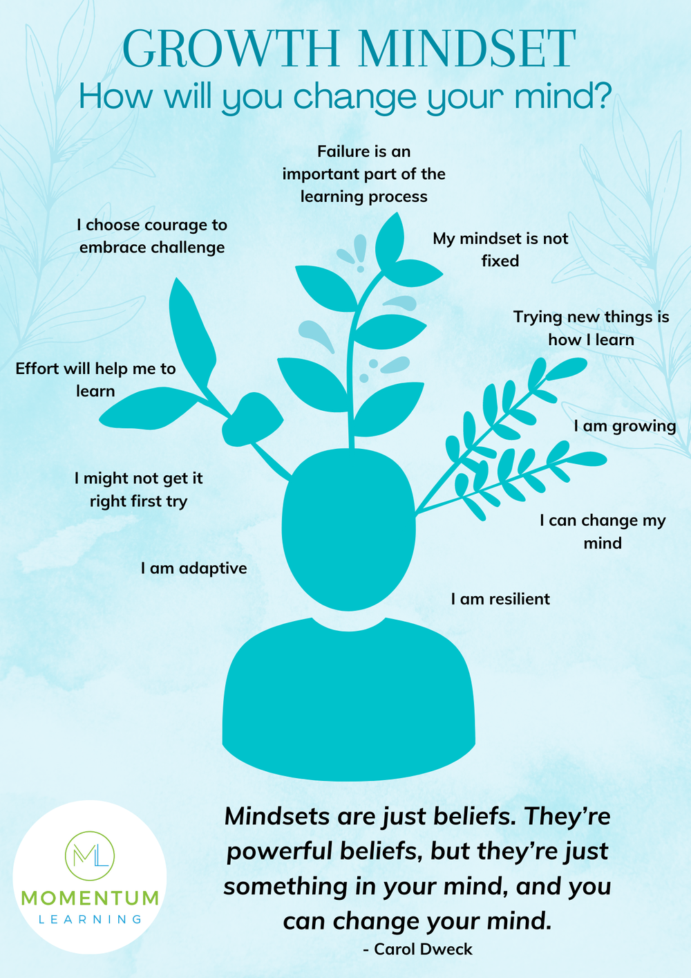 Growth Mindset - How will you change your mind? — Momentum Learning
