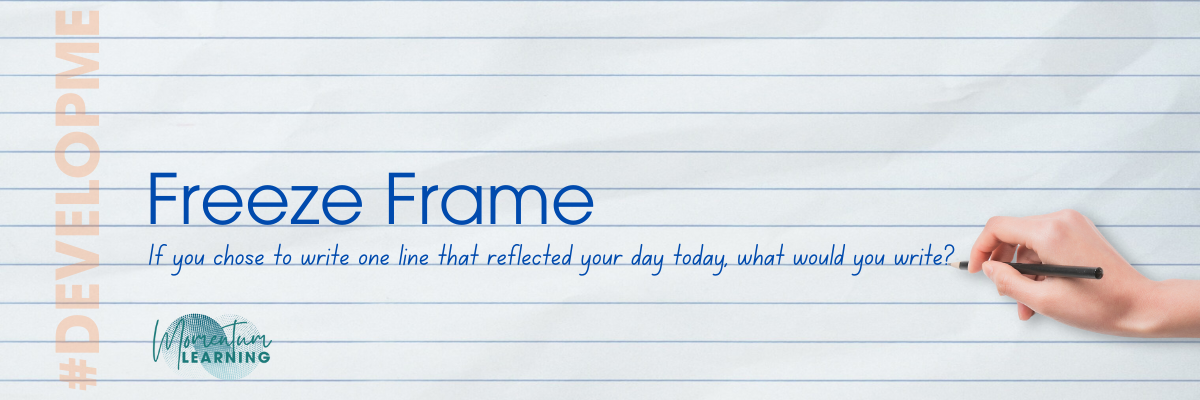 Freeze Frame — Momentum Learning