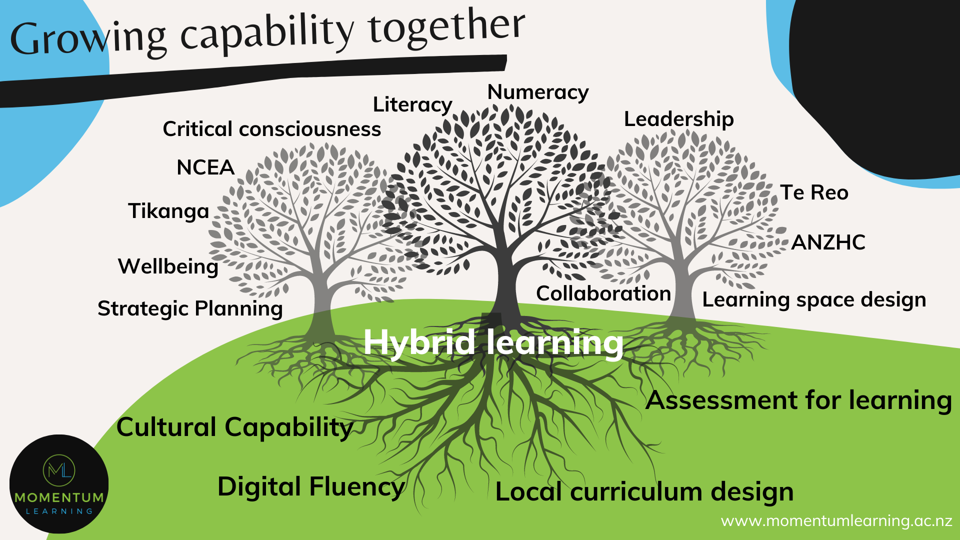Growing Capability Together — Momentum Learning