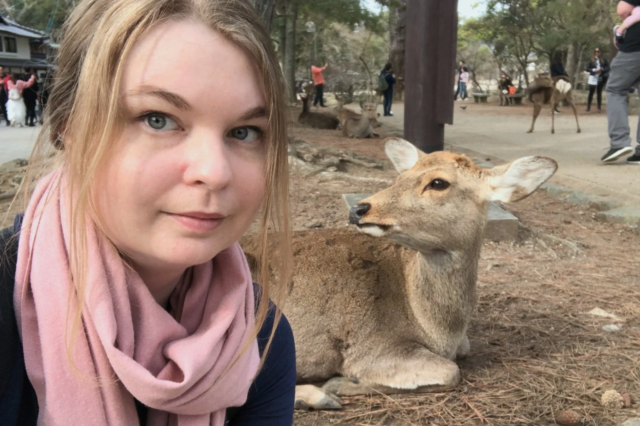 Nara - A full day itinerary — お好みNOMS