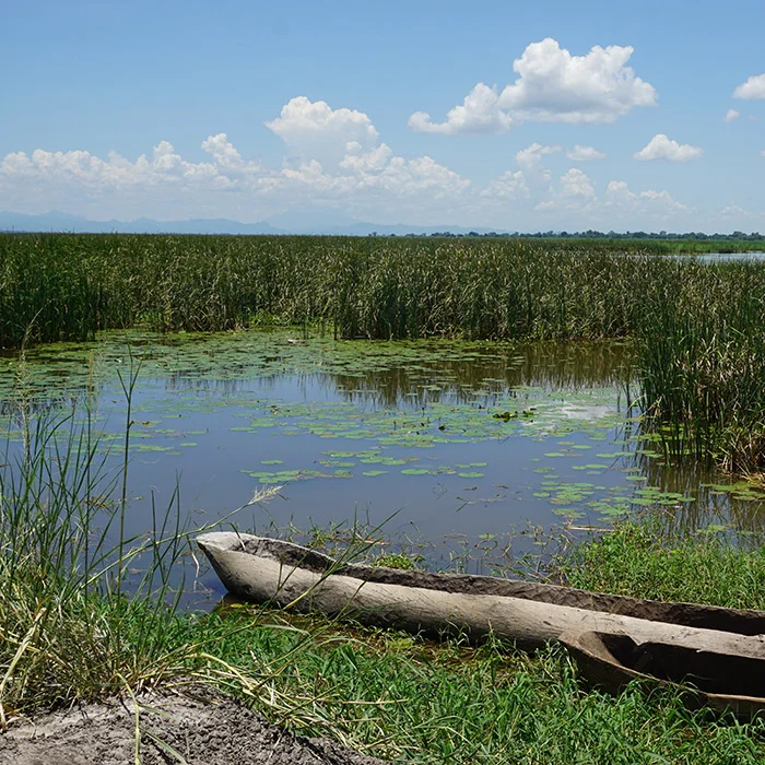 Water Witness International | Action, Research & Advocacy for a Fair ...