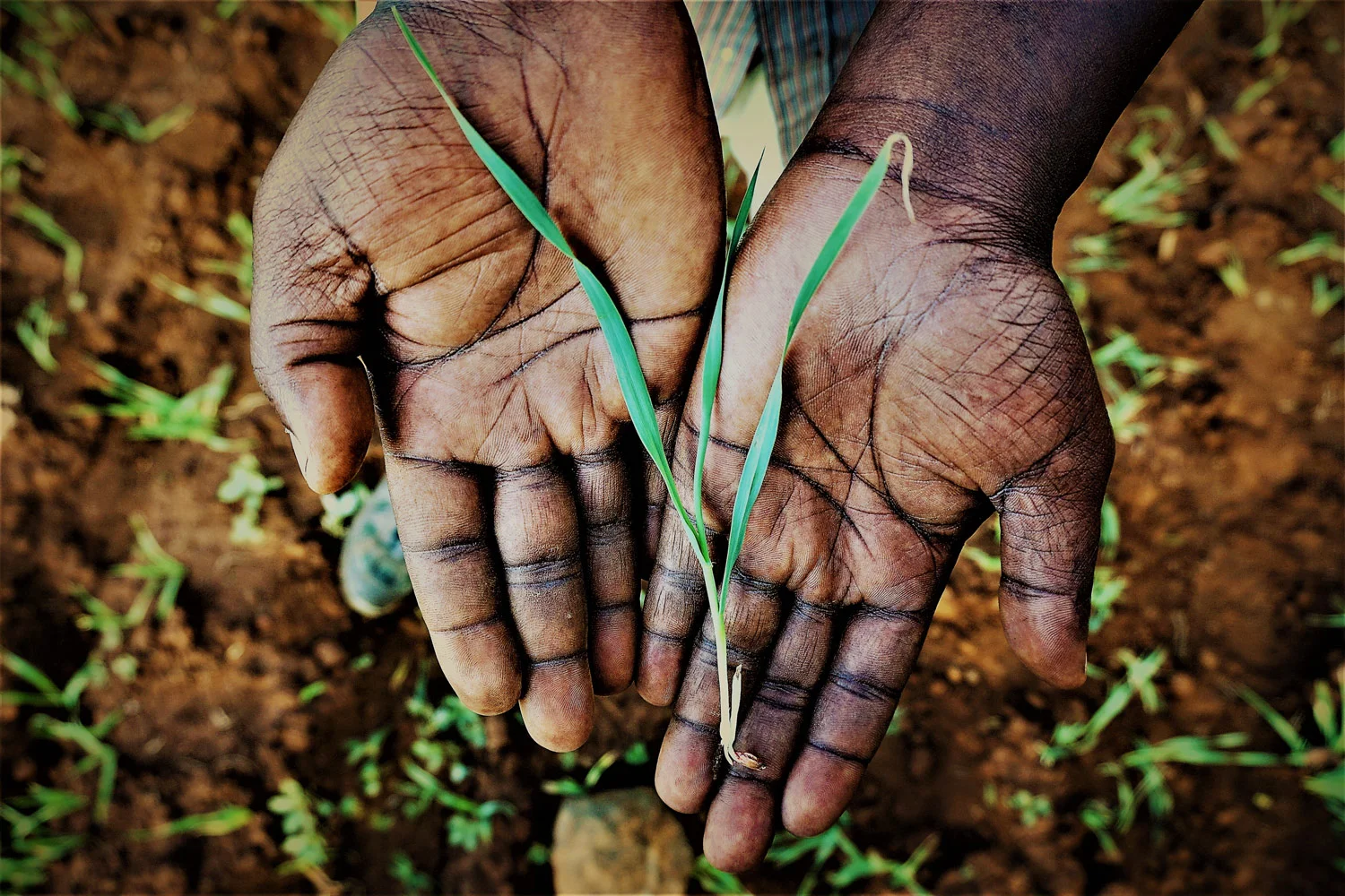 Water Witness International | Action, Research & Advocacy for a Fair ...