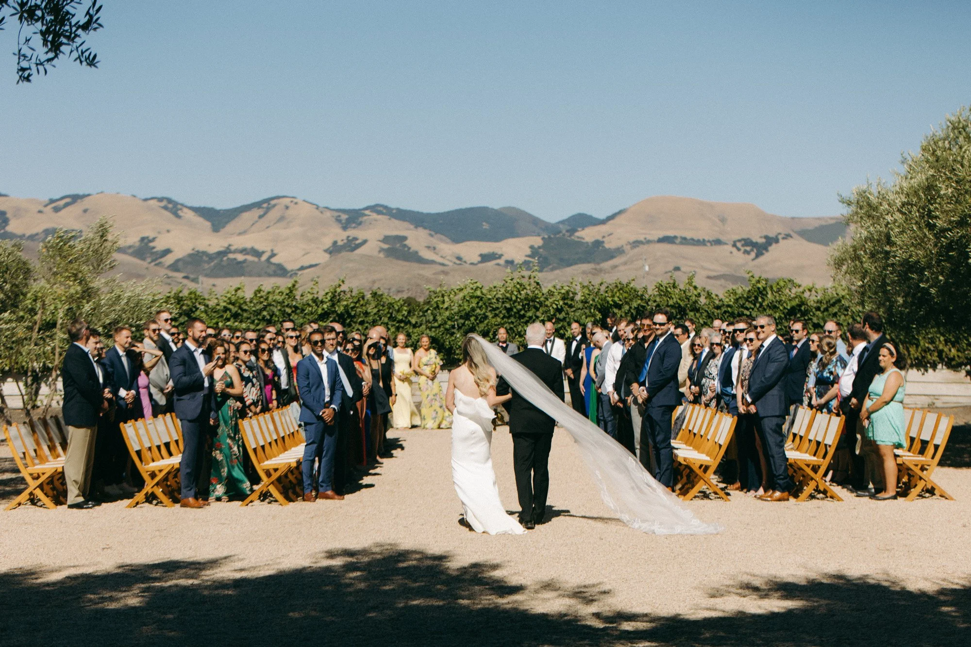 Biddle Ranch Vineyard Wedding