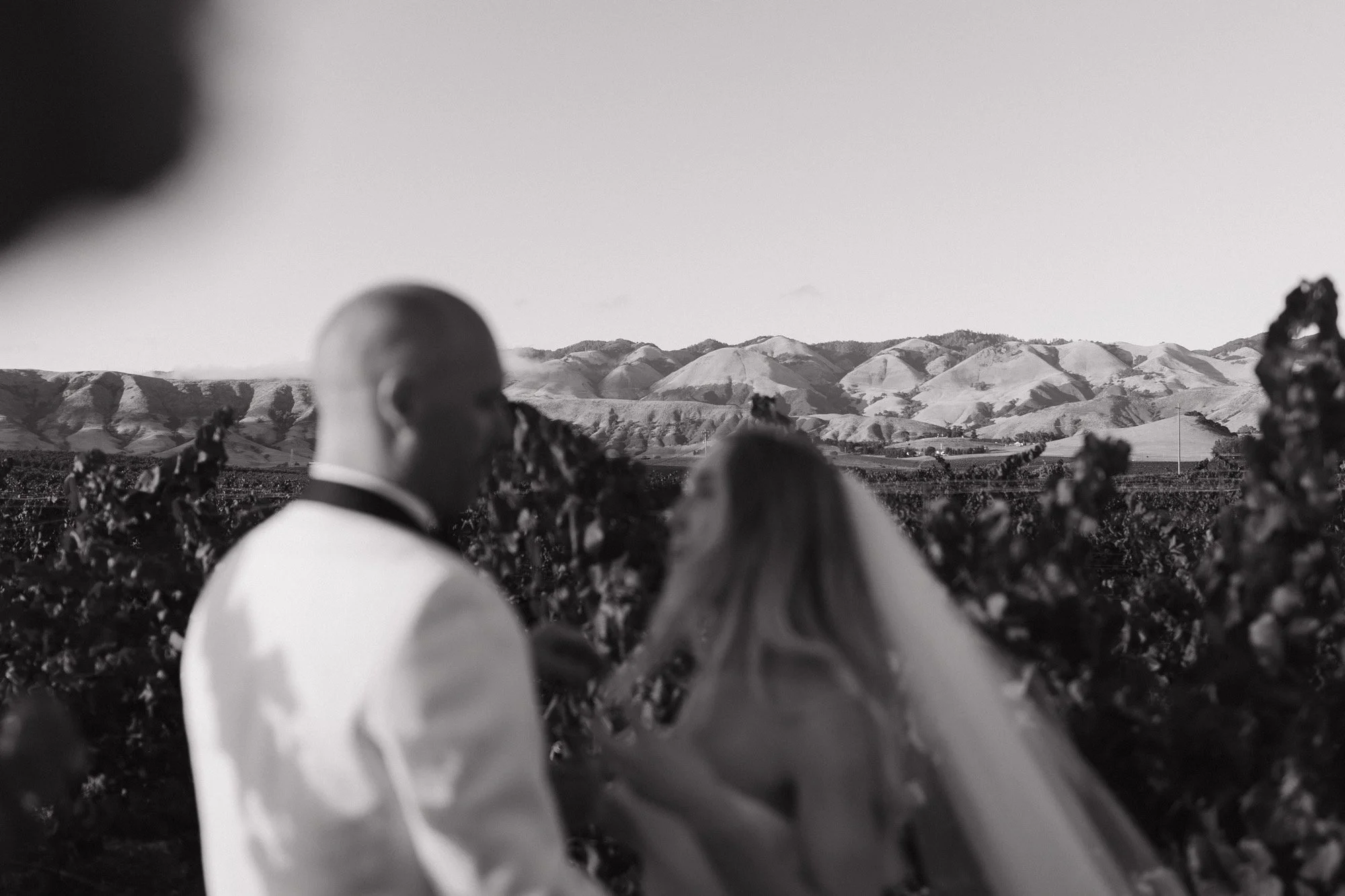 Biddle Ranch Vineyard Wedding